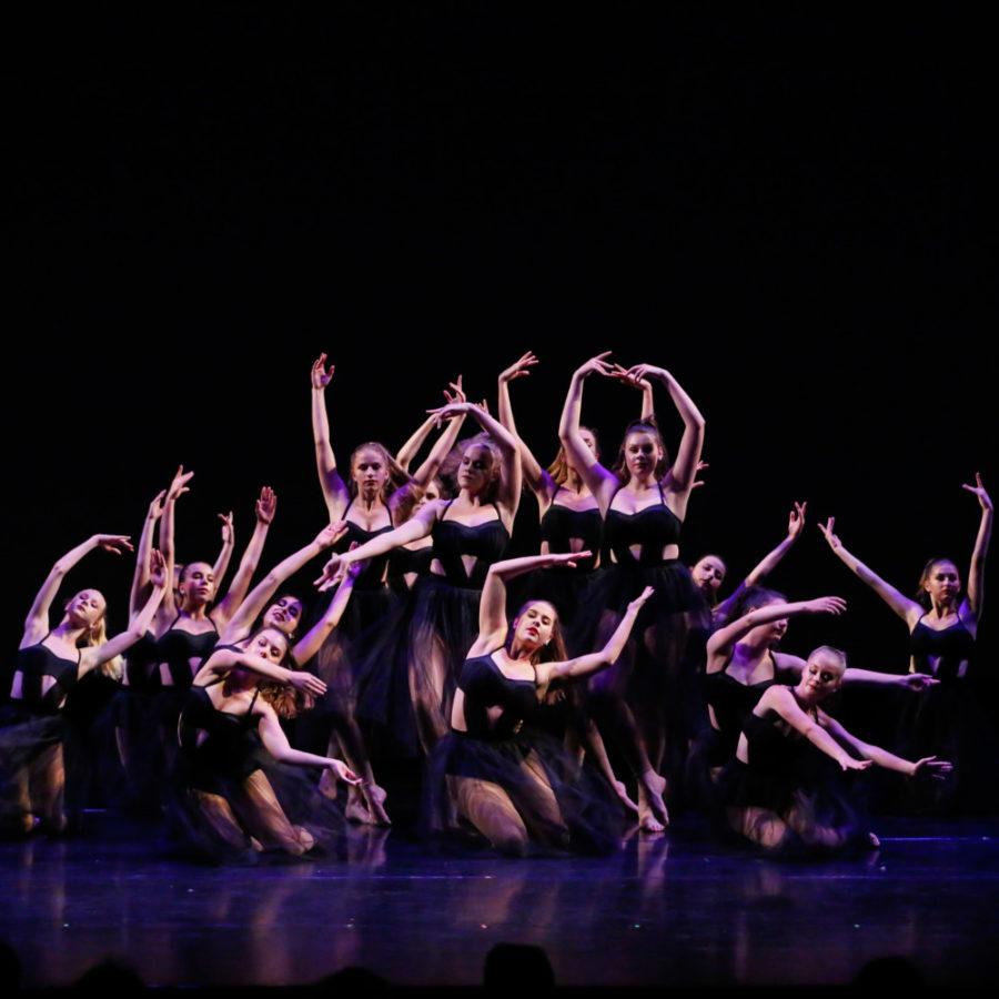 Styles of Dance – The Dance Center of Santa Rosa